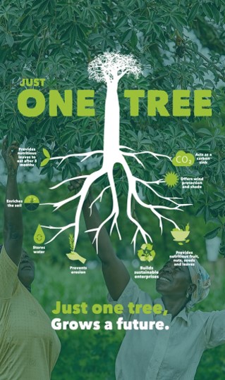 Our Charity - Tree Aid